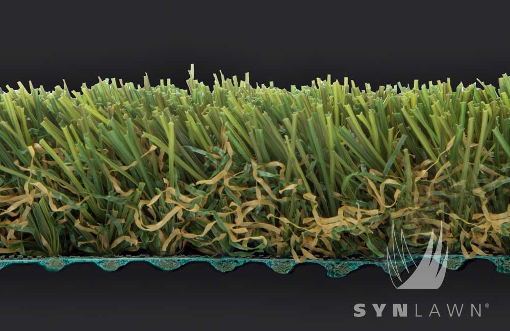 SYNAugustine 847 - SYNLawn